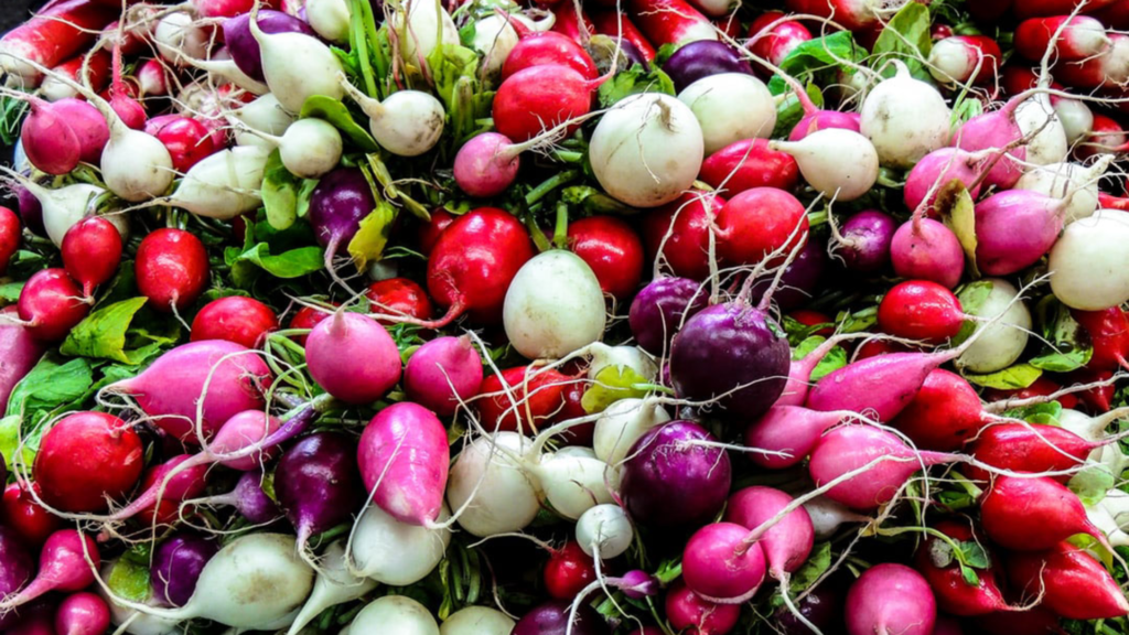 Safra abril - confira os melhores vegetais para incluir no seu dia a dia